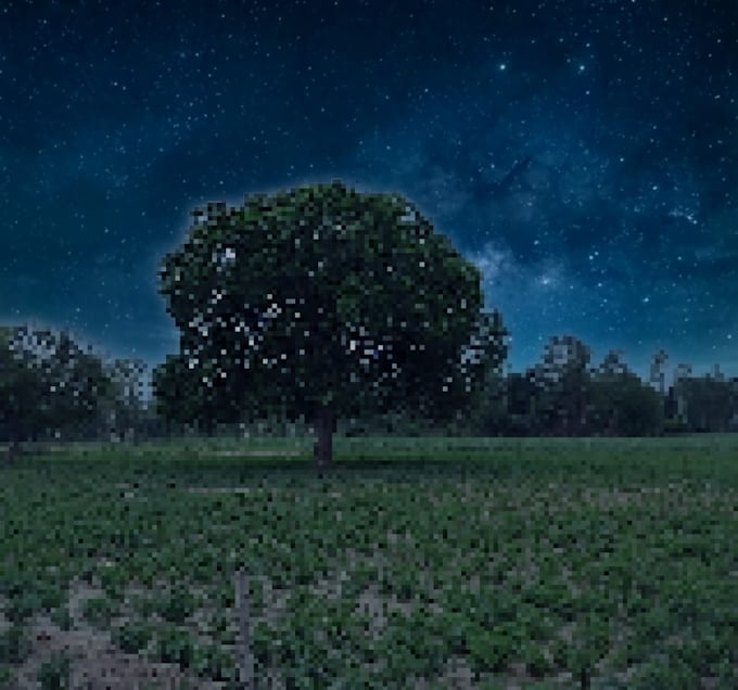 Create concept art, digital art with moving background, nft by ...