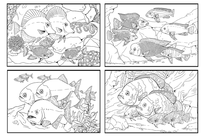 saltwater fish coloring book