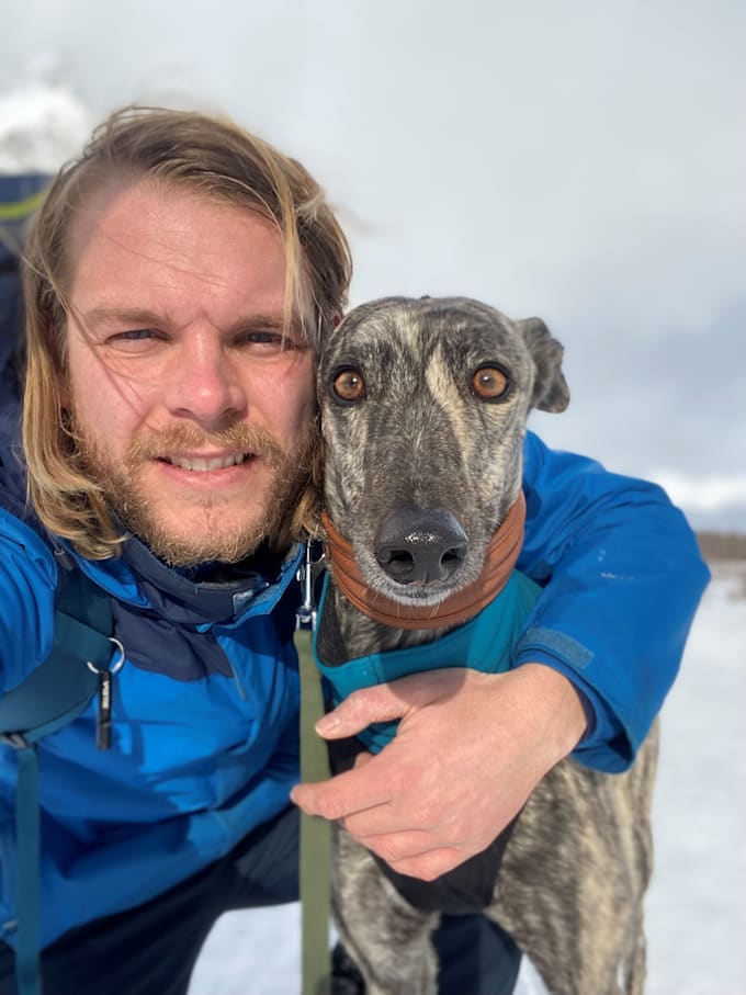 Do something for dog content creator by Darioreolon | Fiverr