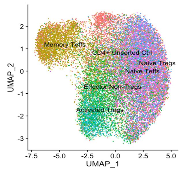Do Multiomic Single Cell Bioinformatics Analyses By Moatif312 Fiverr