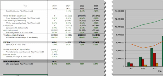 Develop a complete business plan and forecasting model by Maturino88 ...