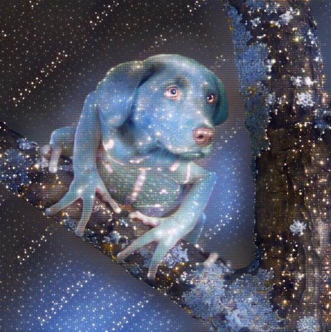 Create strange nft art for you by Aman5645 | Fiverr