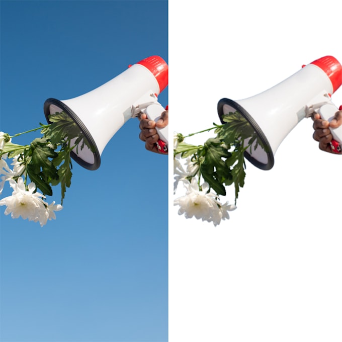 Remove background from image just in 1 hours by Aymane_elk | Fiverr