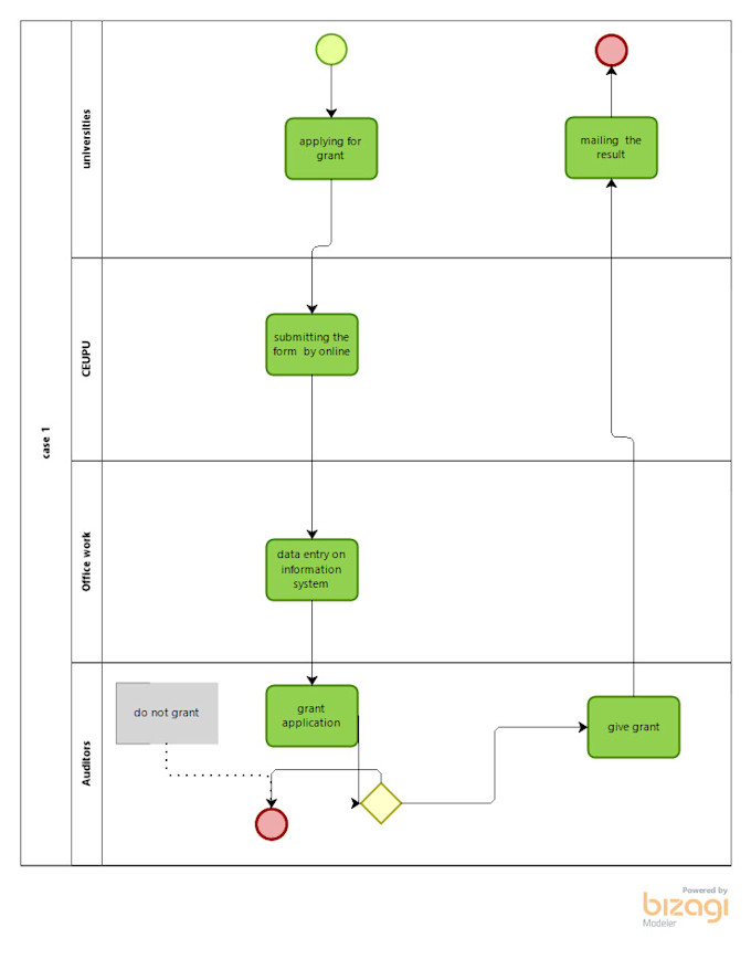 Make bizagi process flowchart for any working system by Farooka_ | Fiverr
