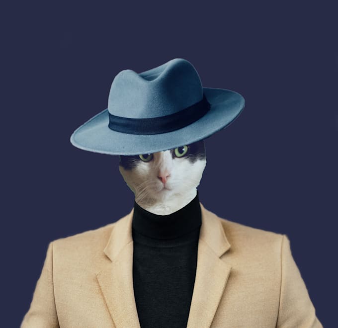 Make nft art using cat by Manoranjan111 | Fiverr