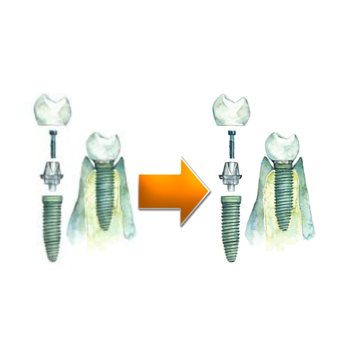 Convert image to high definition vector ai jpeg png by Ayecamporeale ...