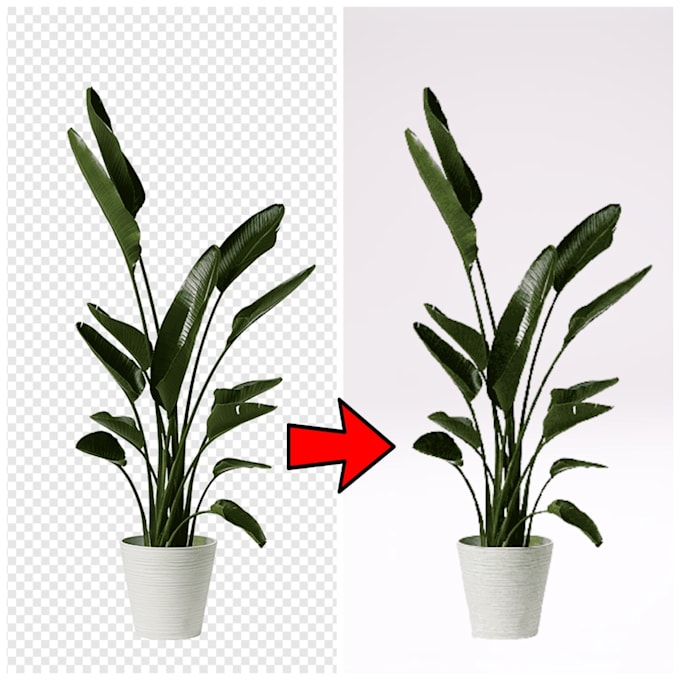 Remove backgrounds and creat album covers by Sheharaa | Fiverr