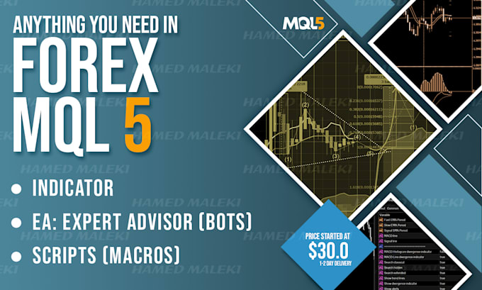 Create Mql5 Indicators Eas And Bots By Hamedmaleki Fiverr 9849
