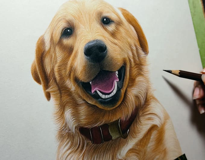 Draw realistic pet portrait by Eiartt | Fiverr