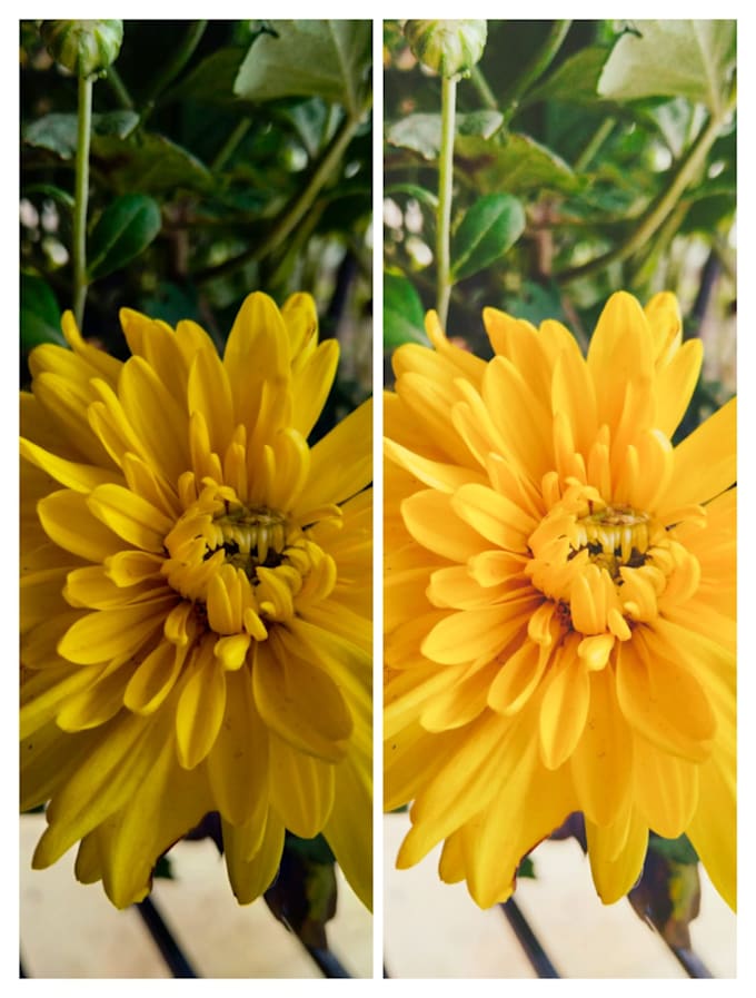 Convert your rough pics into eye catching edit photos by Newpath190 ...