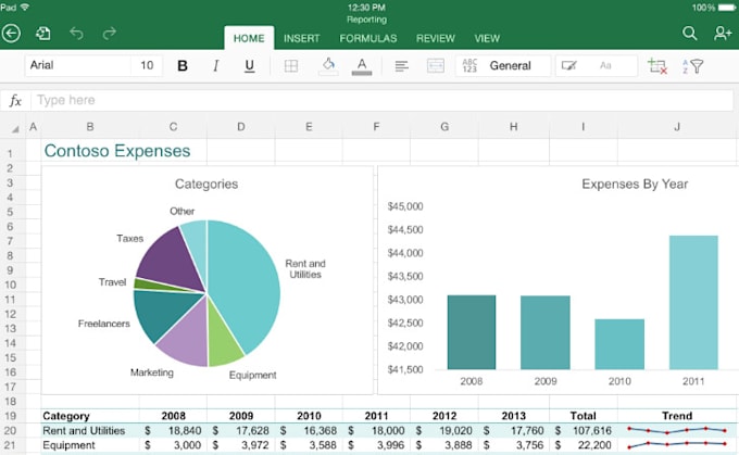 Create excel worksheet for your business record by Pgullkpr | Fiverr