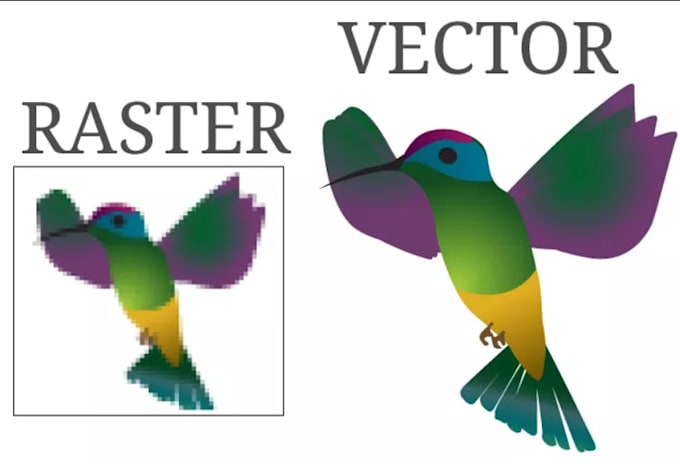 Convert your low quality image to high quality vector by Vrush3301 | Fiverr