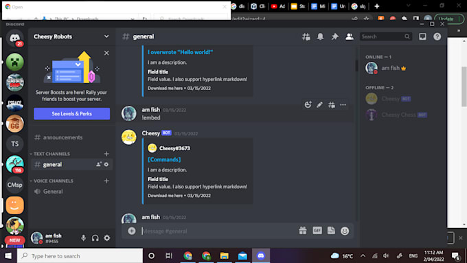 Code a bot professional discord bot by Amfishmp4 | Fiverr