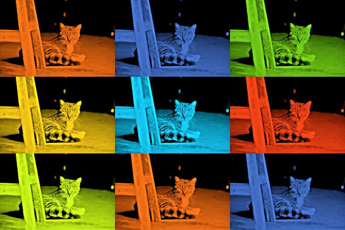 Create a basic nft design for you by Soul80 | Fiverr