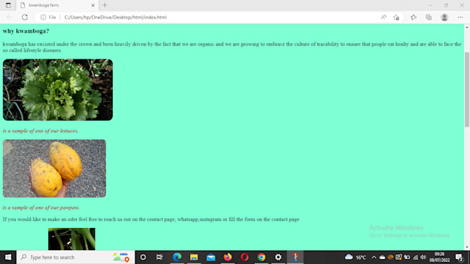 Sketch out your website with html by Solomon202 | Fiverr