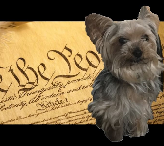 Wordspew for you fact or fiction lexify your diction by Scriptifier ...