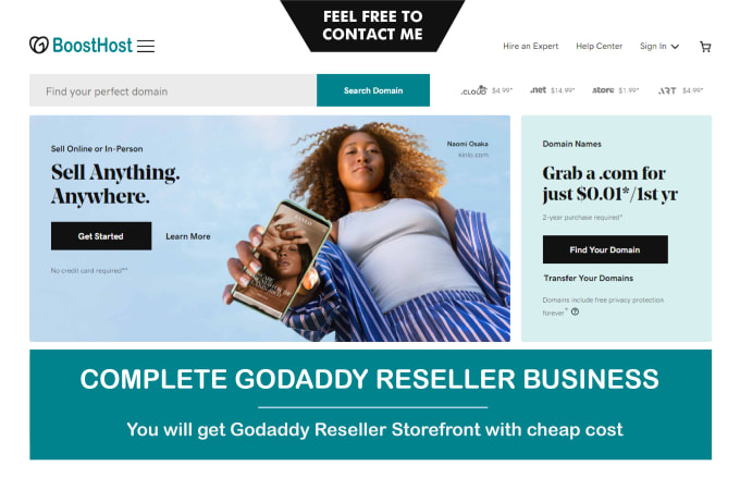 Design a stunning godaddy reseller storefront by Profactor | Fiverr