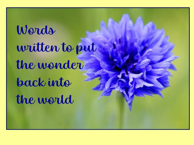 Write beautiful, articulate prose by Elizabethjs4 | Fiverr