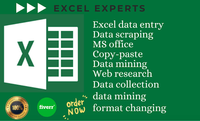 Excel data entry work, web scraping, data mining by Digizonemarket | Fiverr