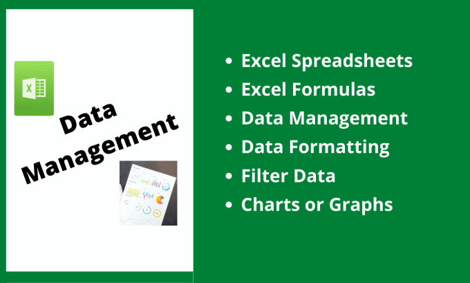 Create, fix and manage your excel spreadsheets by Amaadkhan949 | Fiverr