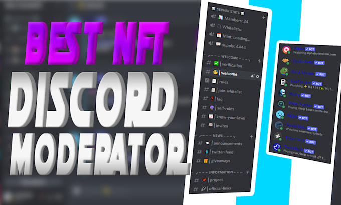Be your nft discord moderator, manager, admin by Apex_arts_ | Fiverr