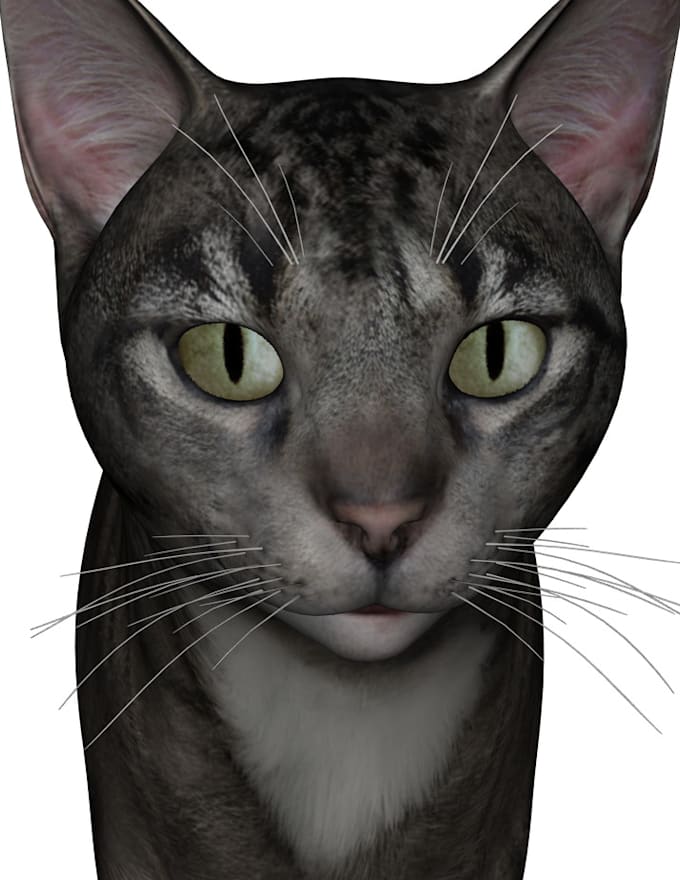 Create a 3d realistic animal by Adams_val | Fiverr