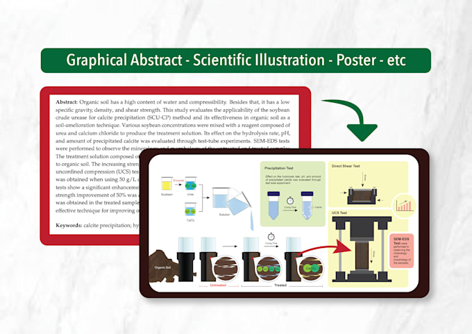Design graphical abstracts, scientific illustrations, and science ...