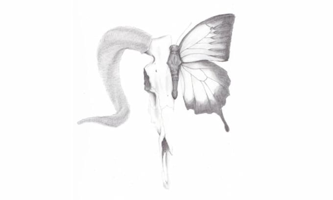 Create unique, realistic anatomical drawings by Direiter_art | Fiverr