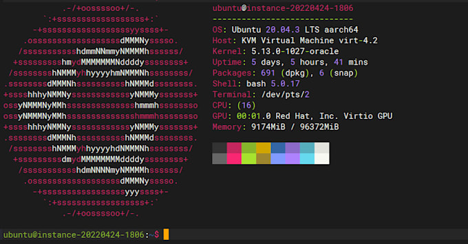 Setup linux or windows server with any software environments by ...