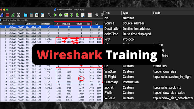 Deliver online wireshark training for you by Yallaquest | Fiverr