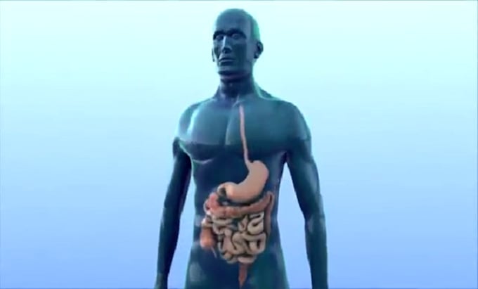 Create a top notch and eye catching 3d medical animation video by ...