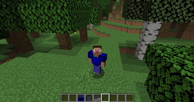 Make a random minecraft mod for you by Heiicat | Fiverr