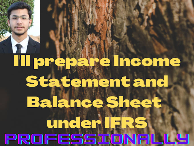 prepare-income-statements-and-balance-sheets-by-hassaanarsha553-fiverr