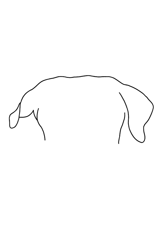 Create a line drawing of your pets ears by Flywithlorelai | Fiverr