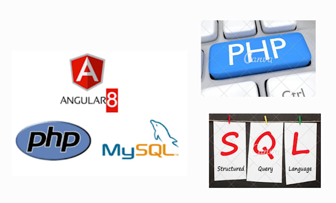 Do crud web app with php , angular and mysql by Newtona582 | Fiverr