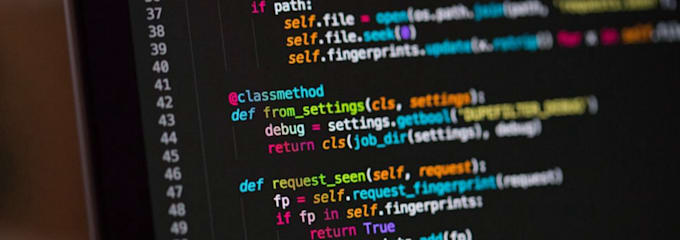 Help you write python script by Dlonely94 | Fiverr Help you write python script by Dlonely94 | Fiverr