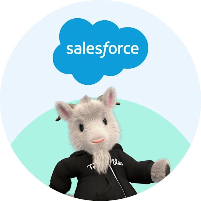 Do Salesforce Apex Development Admin Configuration By Ebinthomas06