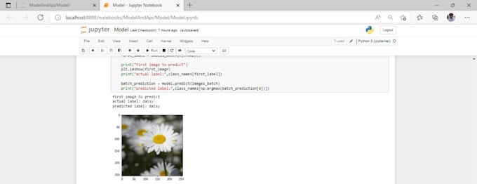 Machine learning and deep learning python projects by Awais_481 | Fiverr
