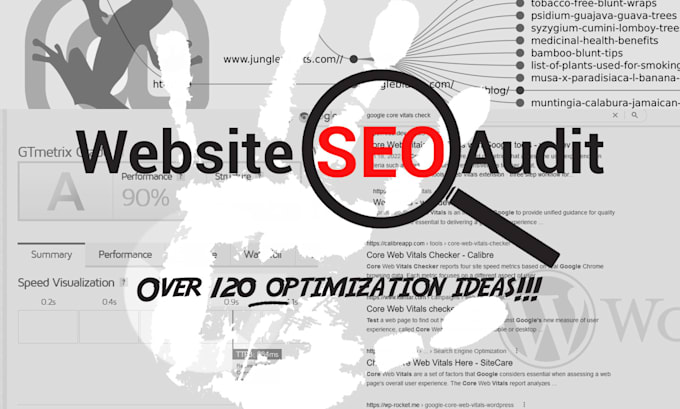 Do comprehensive technical seo audit for your website by Drew_seo | Fiverr