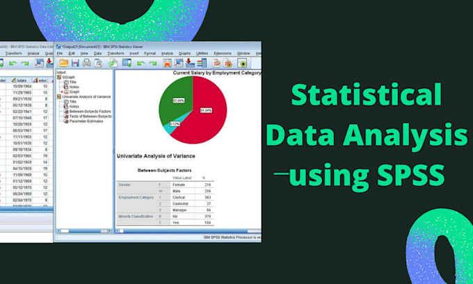 Do statistical data analysis using spss by Mahnoor_malik5 | Fiverr