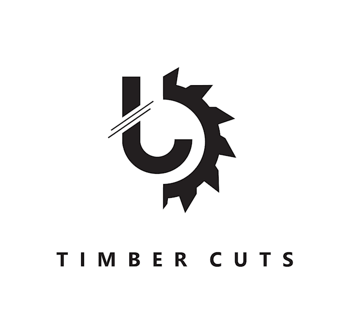 Design a unique logo with intrinsic detailing by Beenishkh | Fiverr