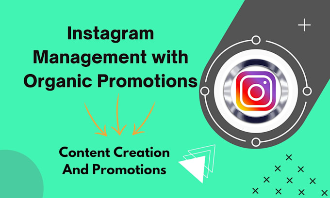 Your instagram account manager and organic promotions by Branddeal | Fiverr