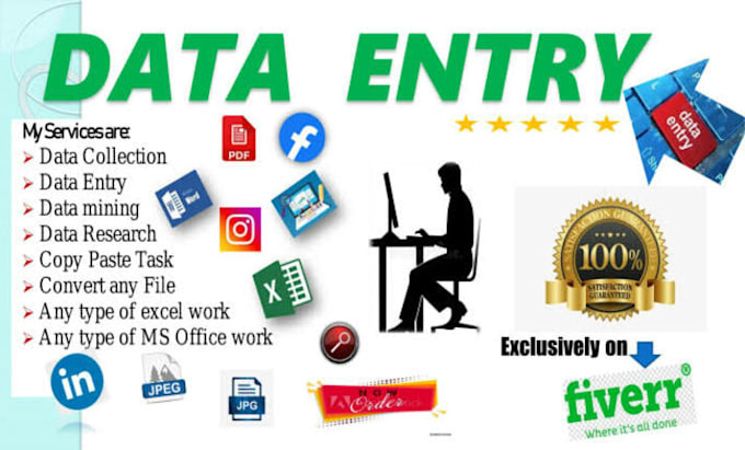 Be your perfect virtual assistant data entry expert by Expert_serviczz ...