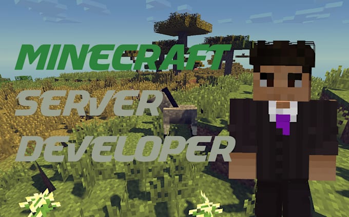 Setup your minecraft server by Mejster | Fiverr
