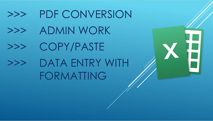 Do data entry typing work in excel spreadsheet by Ahmedm1997 | Fiverr