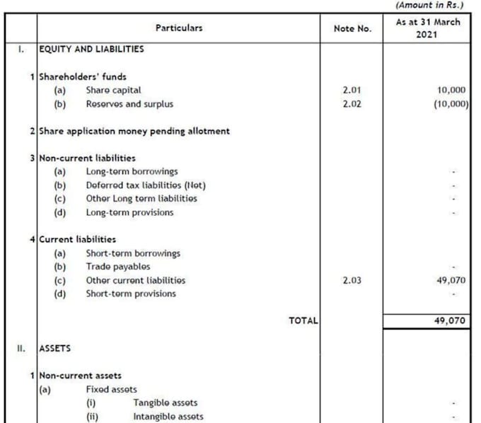 Help set up business in india and do accounting, compliance, financial ...