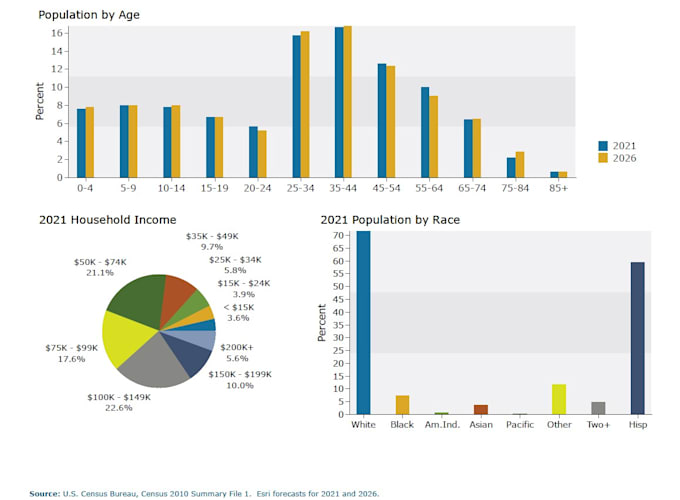 Demographics data and reports by Datadive | Fiverr