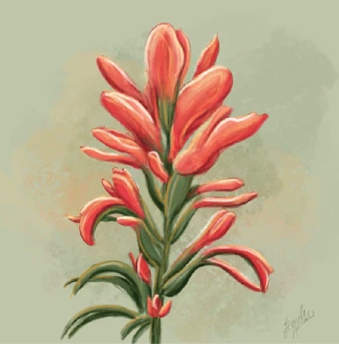 Create a custom floral illustration by Leorahaddadi | Fiverr