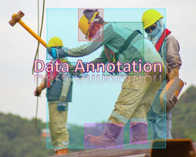 Do your data annotation jobs with bounding box and polygons by Angelebrako | Fiverr