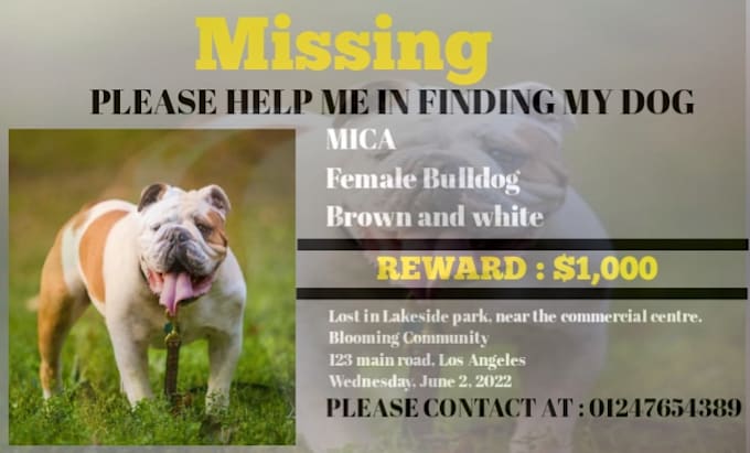 Design a professional dog litter, stud, breeder, kennel flyer or lost ...